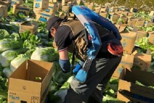 Exoskeletons Lift Assist Suits | Materials Handling